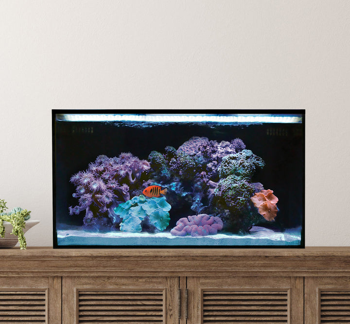 IM Nuvo Starter Kits – Aquatica