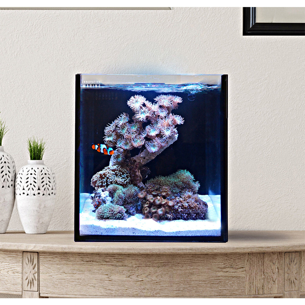 Buy an Aquarium – Aquatica