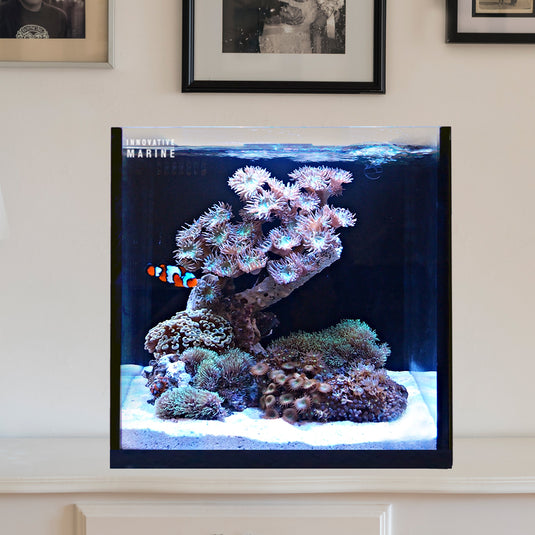 Buy an Aquarium – Aquatica