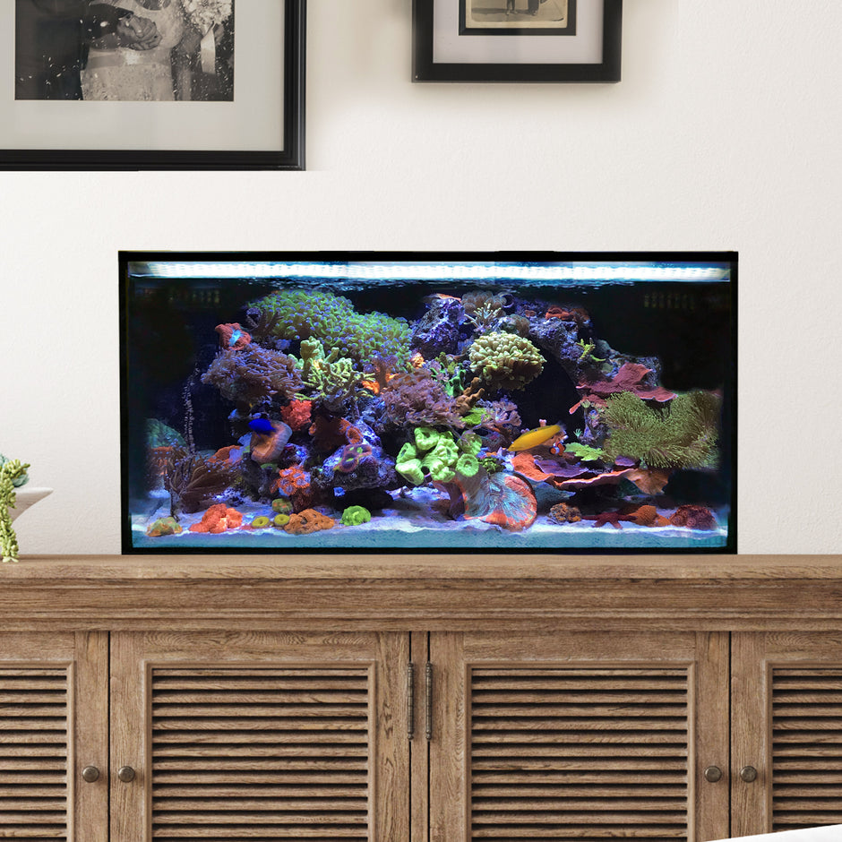 IM Nuvo Starter Kits – Aquatica