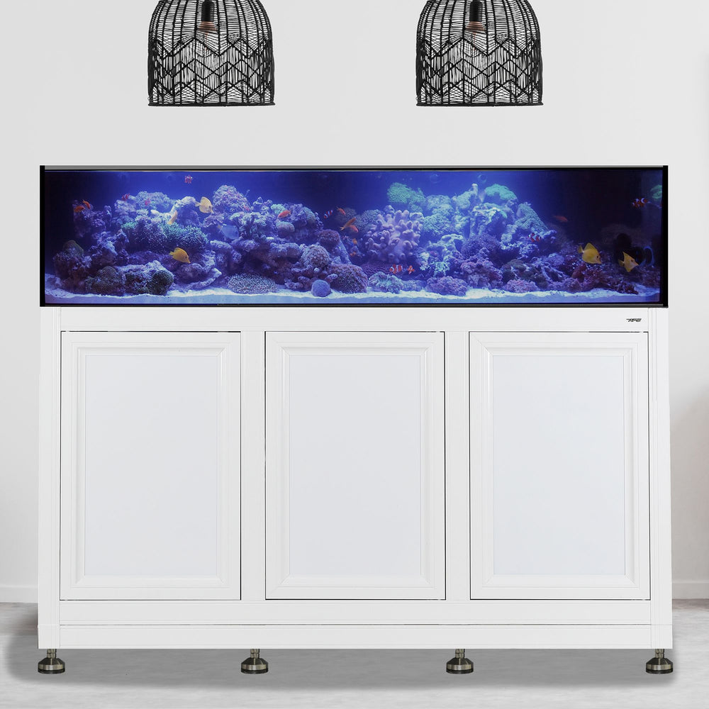 Buy an Aquarium – Aquatica
