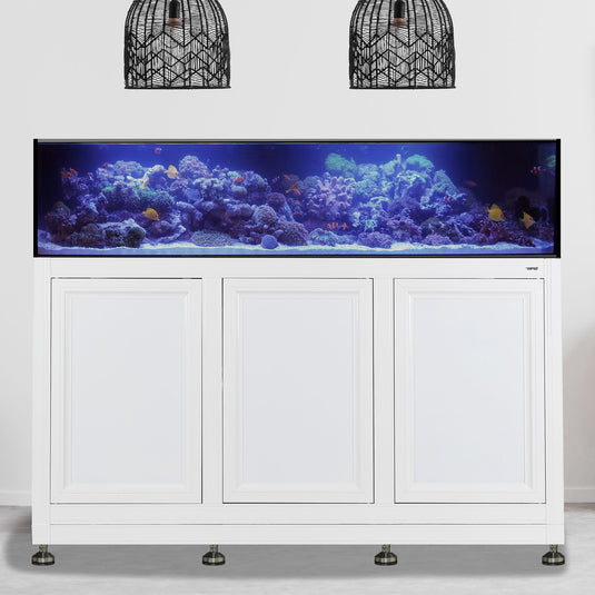 Buy an Aquarium – Aquatica