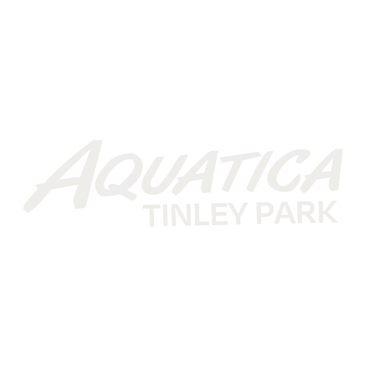 Our Creatures – Aquatica