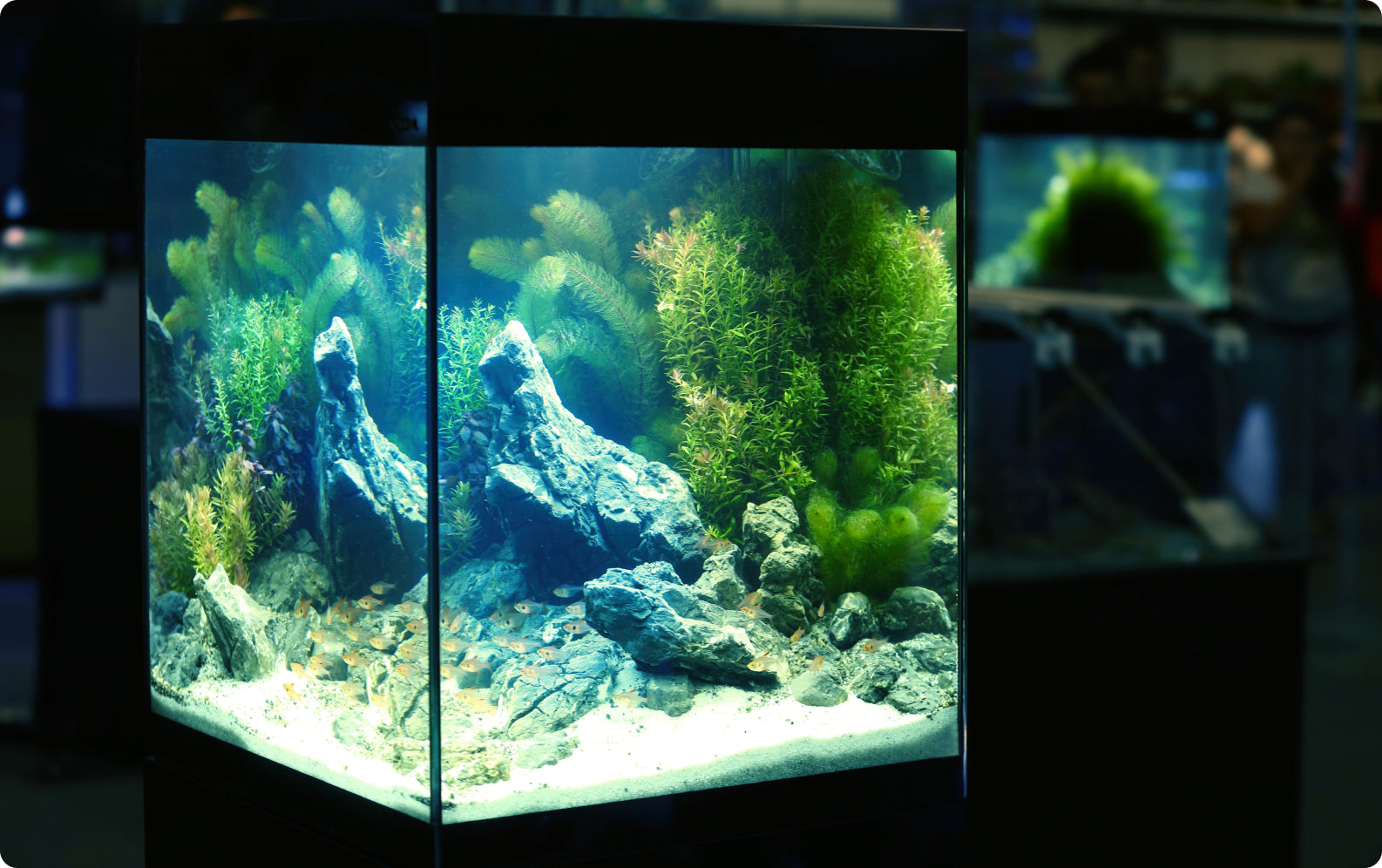 Installation & Services – Aquatica