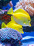 Visit – Aquatica