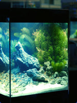 Visit – Aquatica